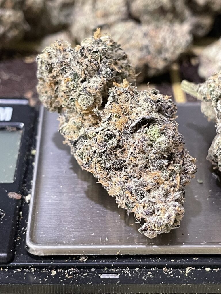 Ya HEMI (Grandiflora) - Green Therapy NYC