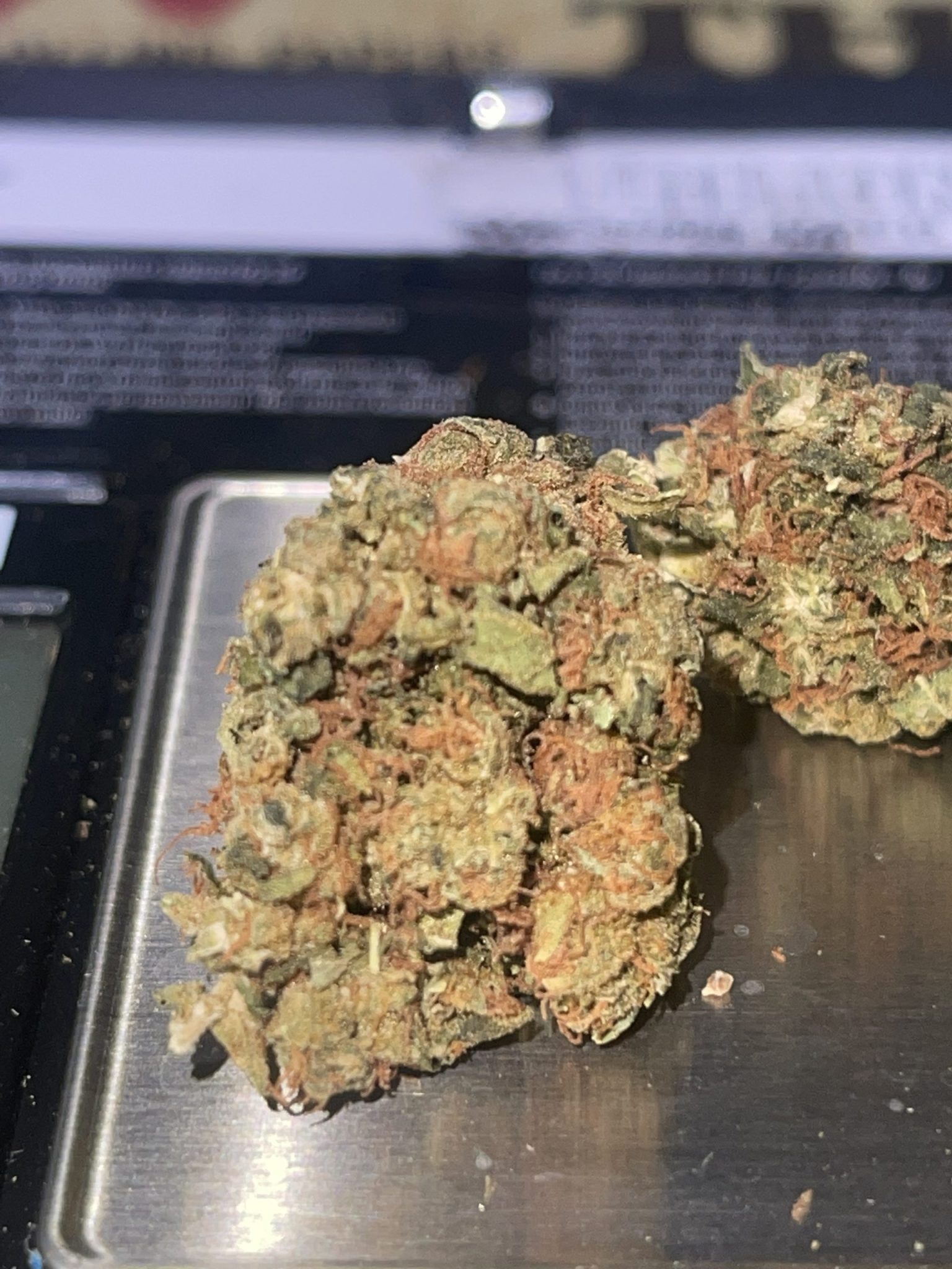JACK HERER 28g OZ SATIVA OUTDOOR 17%THC - Green Therapy NYC